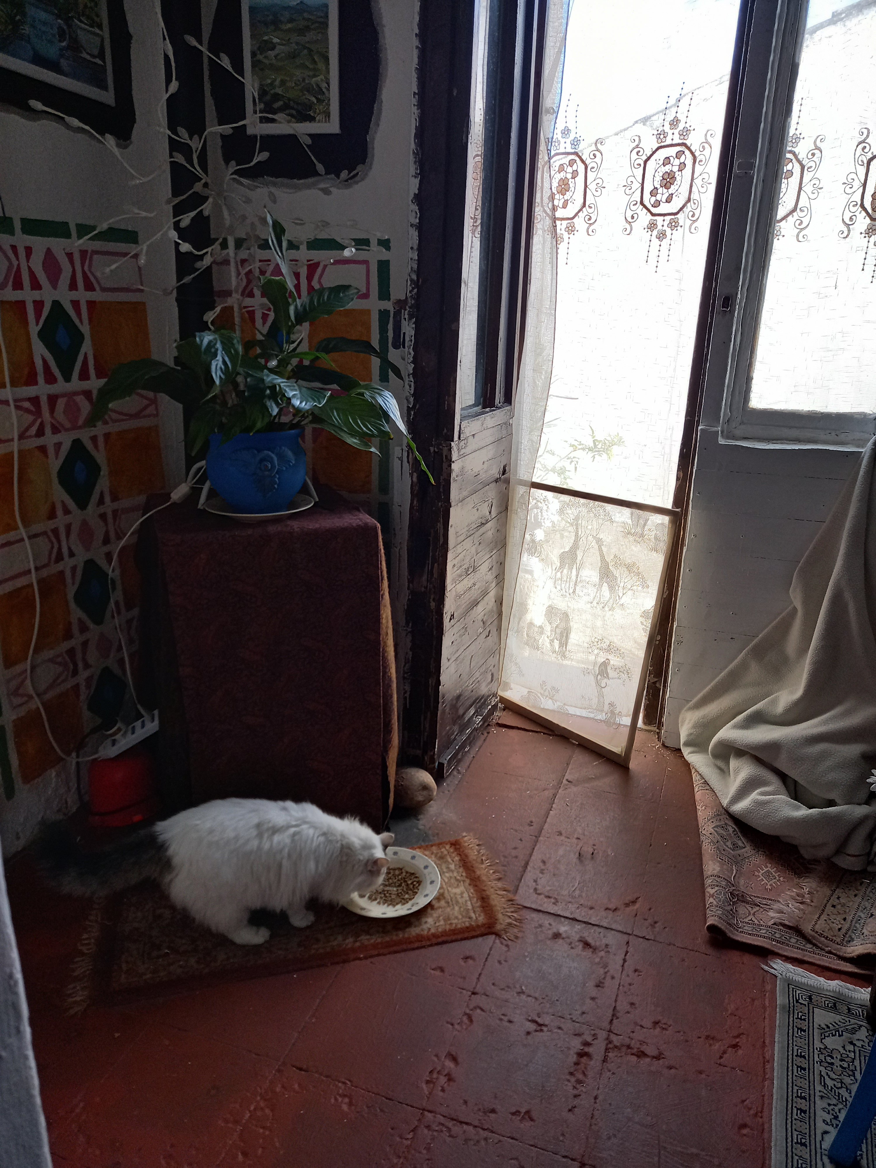 2022 in Pisticci….finally started to paint something….. – BELLABASILICATA