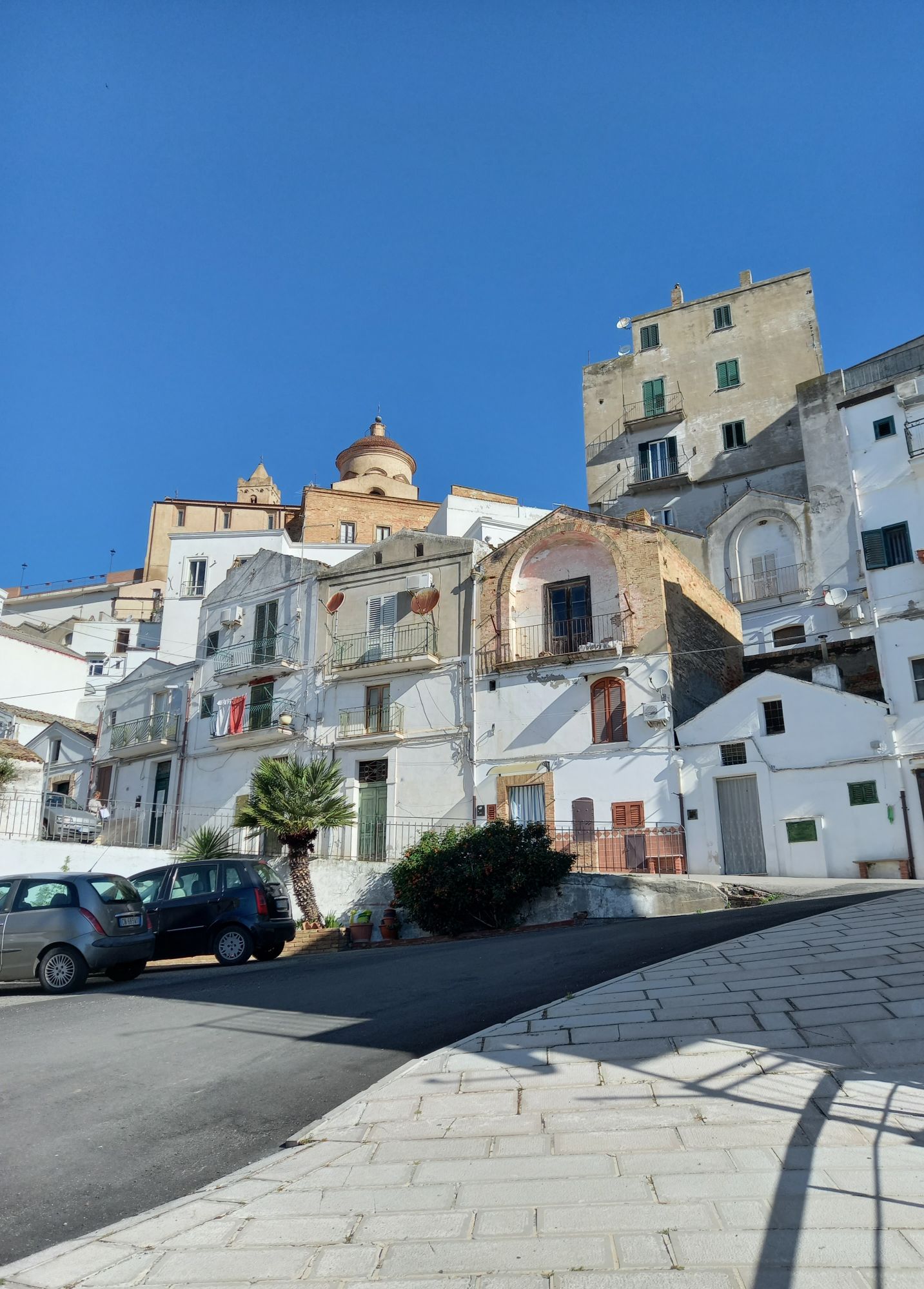 2024 in Pisticci….flowers from the market….. – BELLABASILICATA