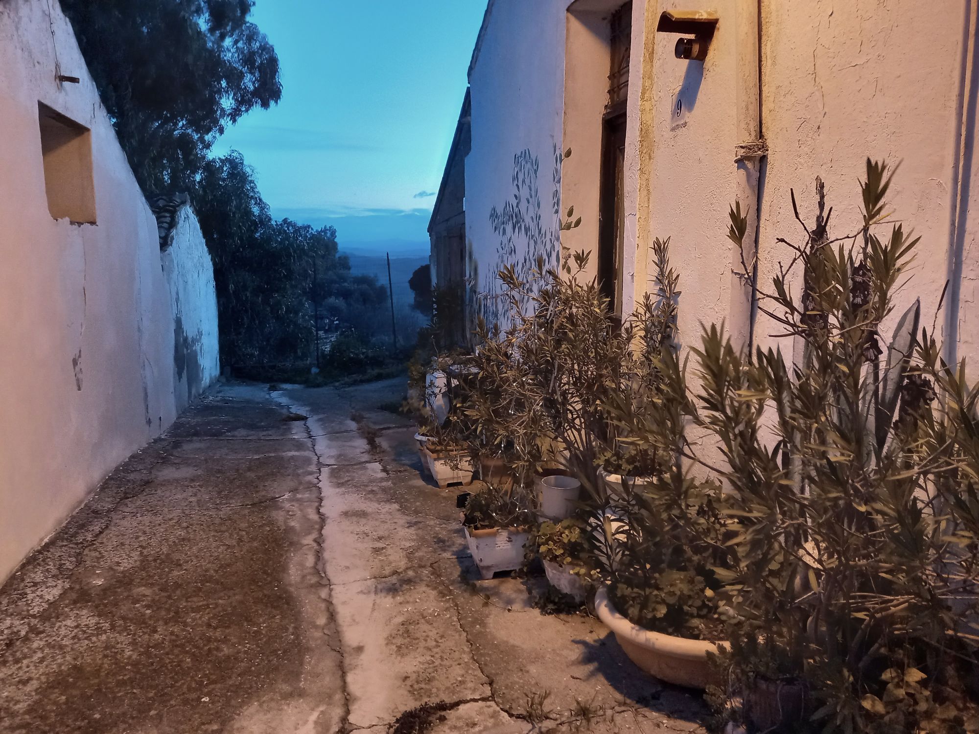 2024 in Pisticci…back to normal nearly….. – BELLABASILICATA