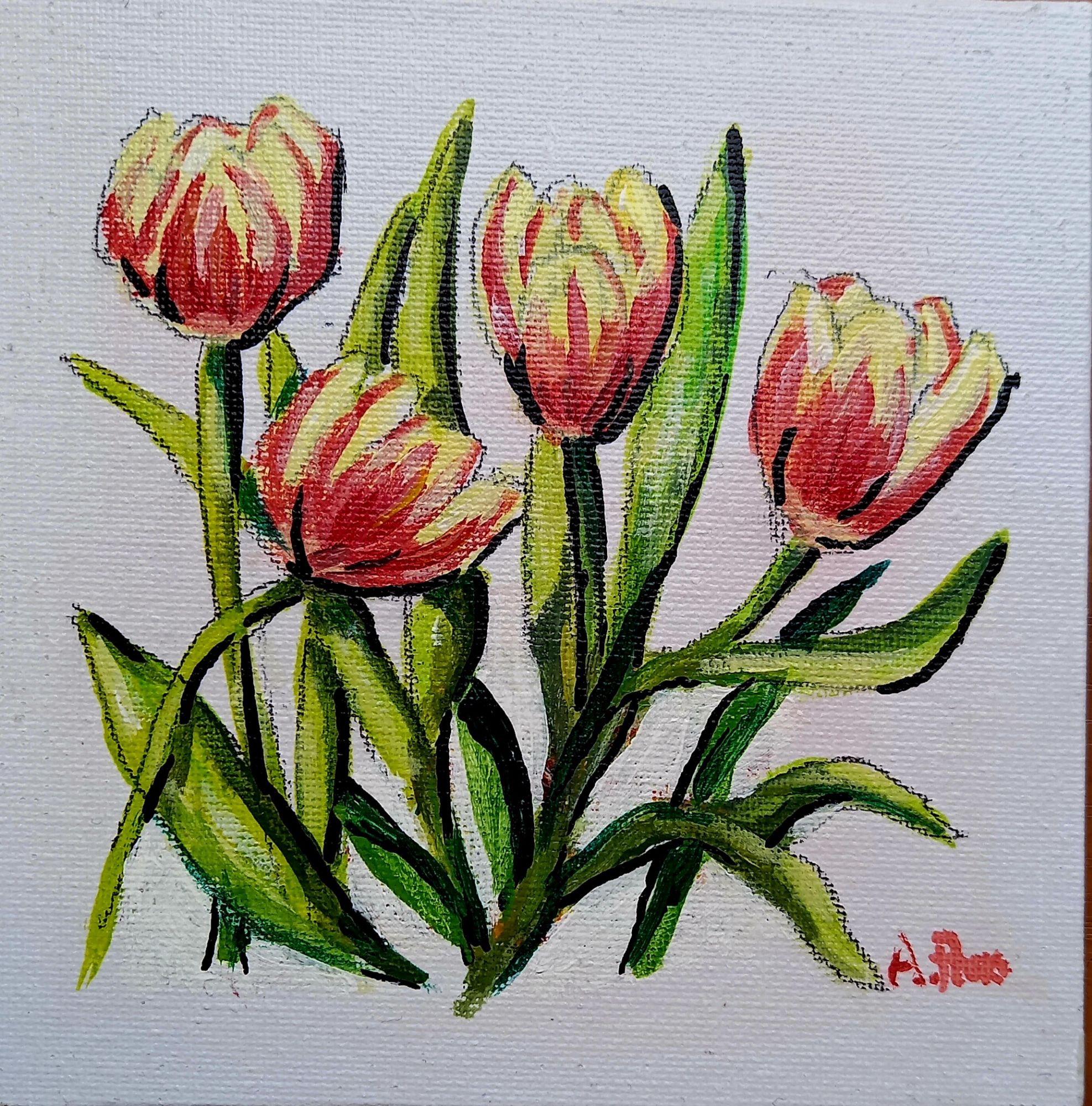 2025 in Perth…another rainy day… – BELLABASILICATA