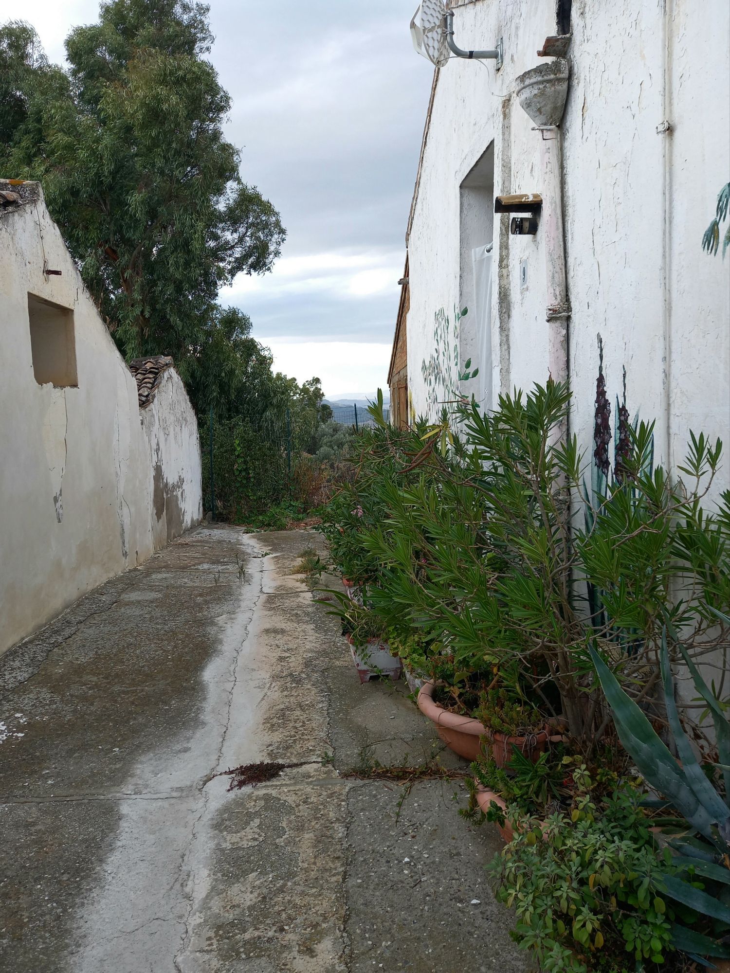 2025 in Pisticci…windy day…. – BELLABASILICATA